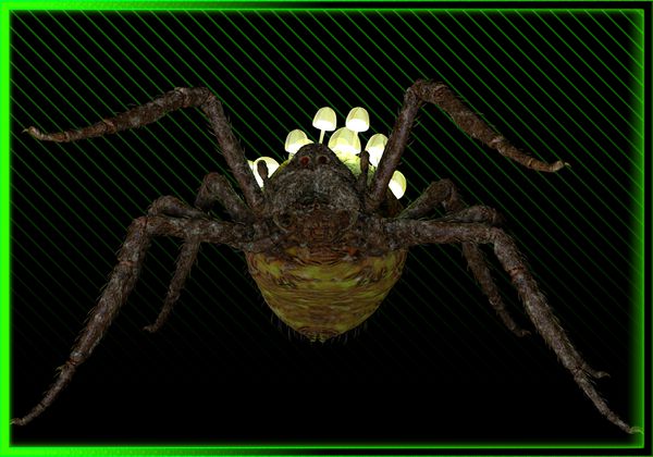 Spore Spider - The Anaxverse