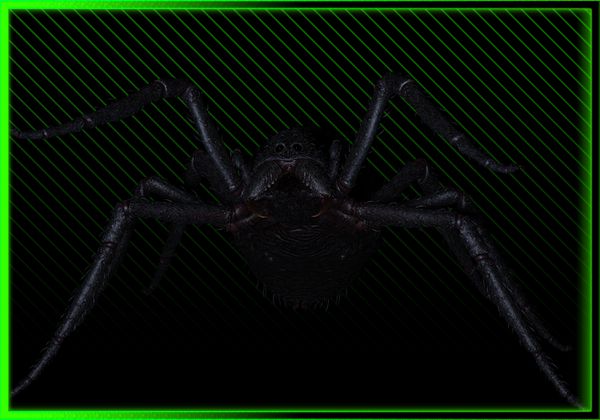 Mutant Spider - The Anaxverse